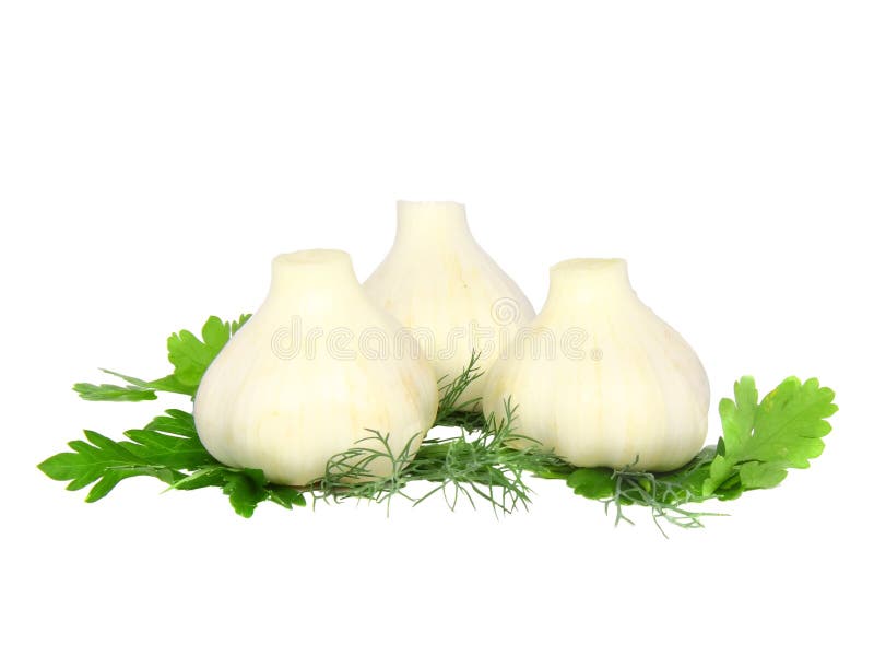 Garlic, Decorating of Parsley. Isolated Stock Image - Image of green ...