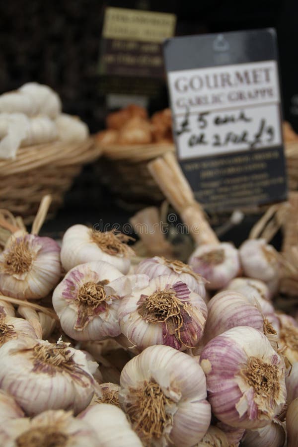 Provence garlic and spices stock photo. Image of garlic - 19311320