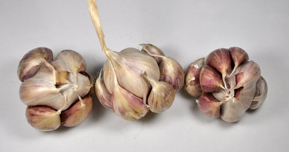 124 Does Garlic Stock Photos - Free & Royalty-Free Stock Photos from ...