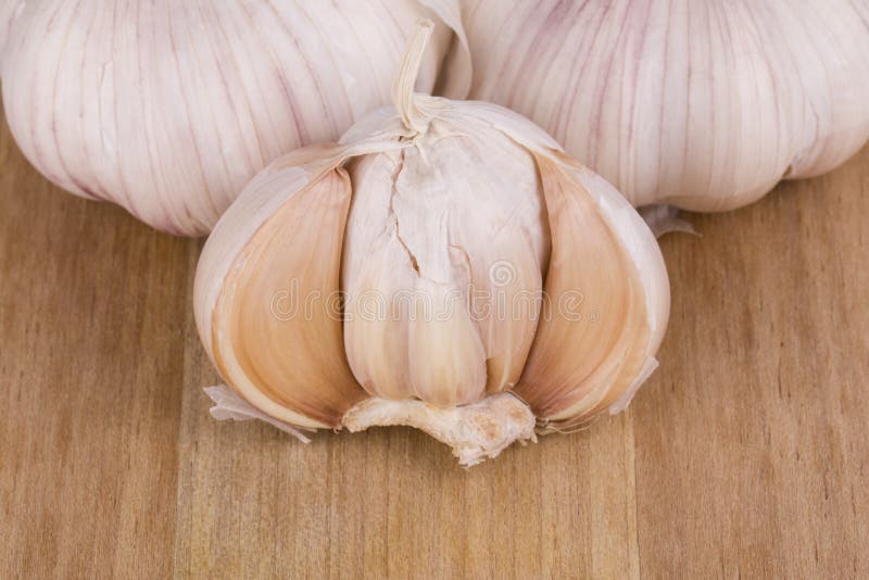 Garlic. stock photo. Image of vegetarian, bulb, healthy - 40690510