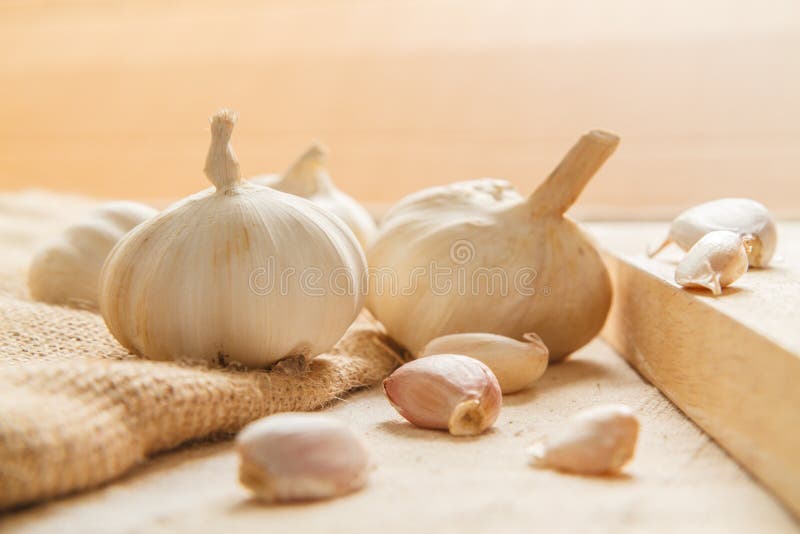 Garlic on fabric stock photo. Image of medicine, purple - 33188276