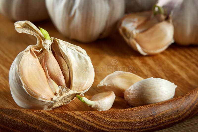 Garlic Close Up on Wooden Plate on Rustic Background, Shallow Depth of ...
