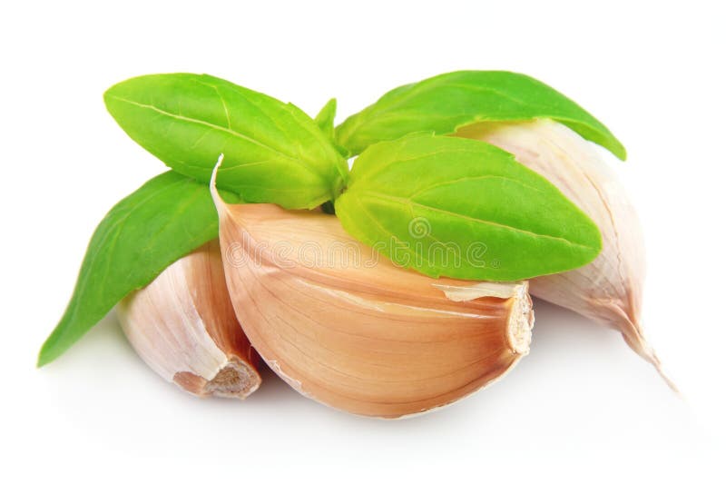 Garlic and fresh basil stock image. Image of organic - 23890411