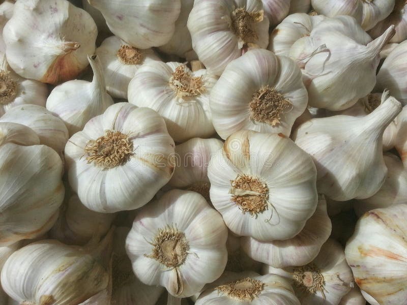 7,550 Garlic Box Stock Photos - Free & Royalty-Free Stock Photos from ...