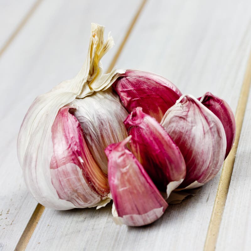 Garlic stock photo. Image of pink, onion, organic, nutrition - 41806696