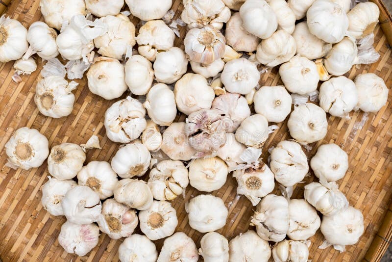 Garlic , Fresh garlic stock image. Image of group, spicy - 68505703