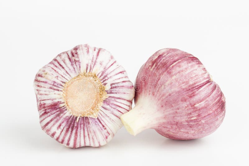 Garlic. stock image. Image of people, foods, harvesting - 41148439