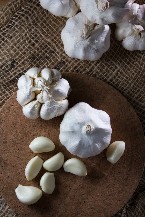 Garlic stock photo. Image of onion, vegetable, garlic - 34528000