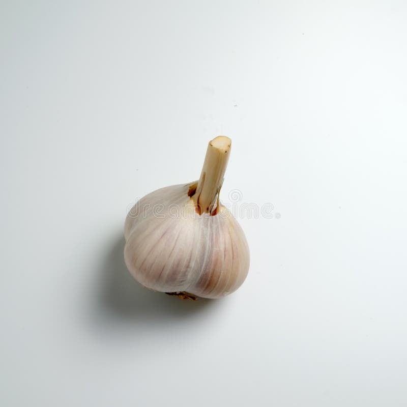 Garlic stock image. Image of healthy, white, object, spiciness - 61210715