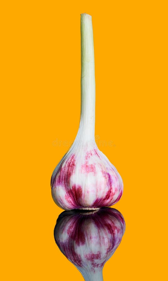 Garlic Fruit Lies on the Kitchen Table in the Kitchen, Stock Image ...