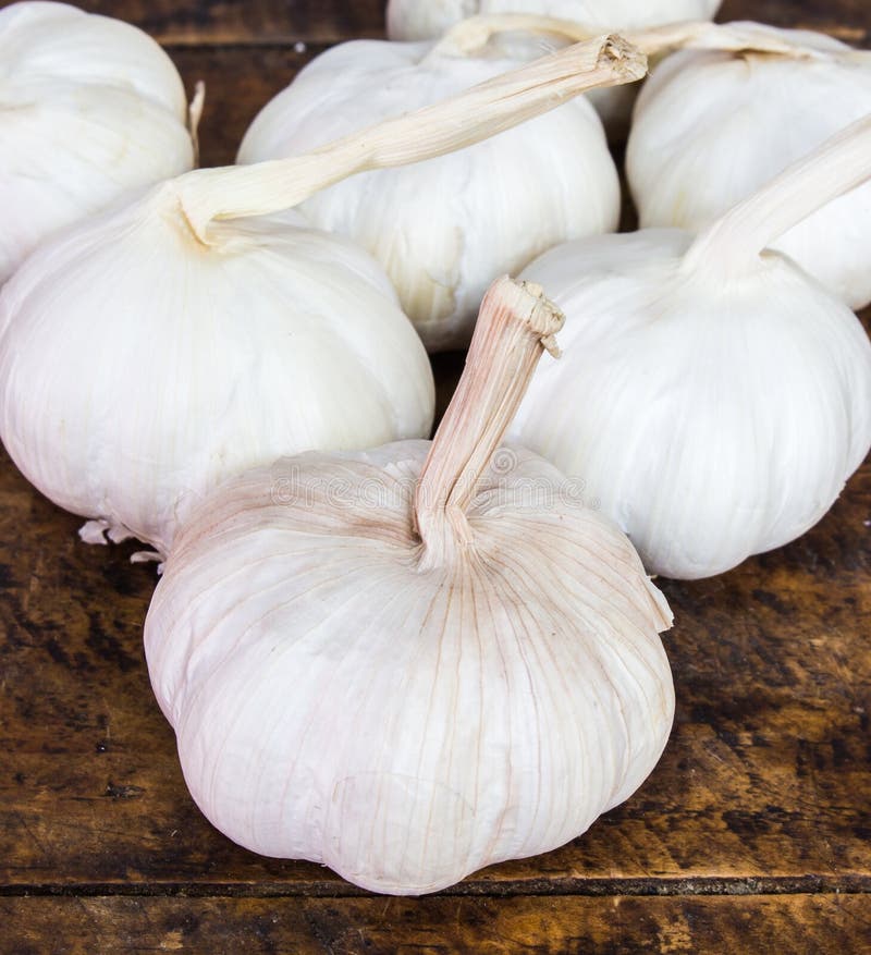 Garlic fruit on wood table stock photo. Image of nutrition - 43173410