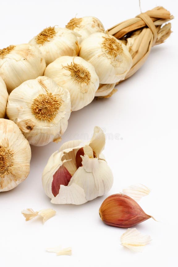 Garlic Garland stock photo. Image of condiment, gourmet - 1223298