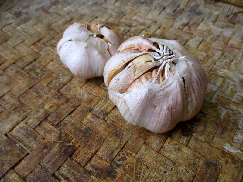 Garlic stock image. Image of cuisine, food, eating, flower - 268981761