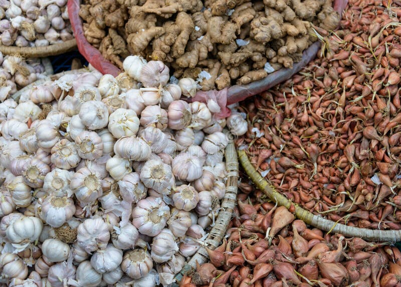 Garlic ginger and onion stock image. Image of shallot - 51596555
