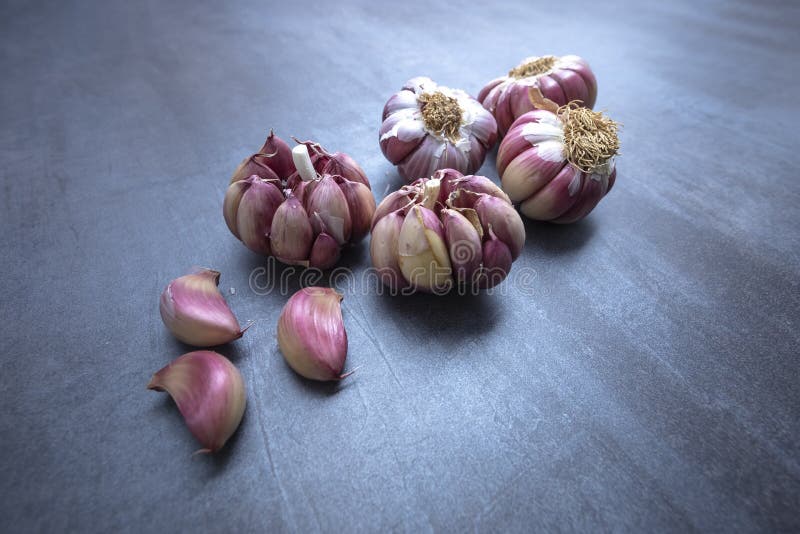 Garlic in Gray Stone, Seen from Above, Free Space for Editions Stock ...