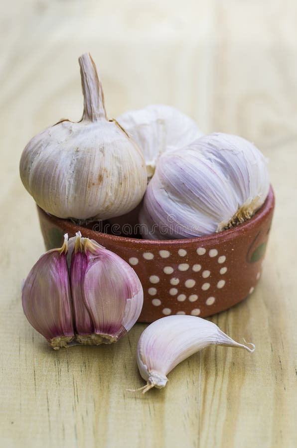 Garlic stock photo. Image of parsley, ingredient, healthy - 30332856