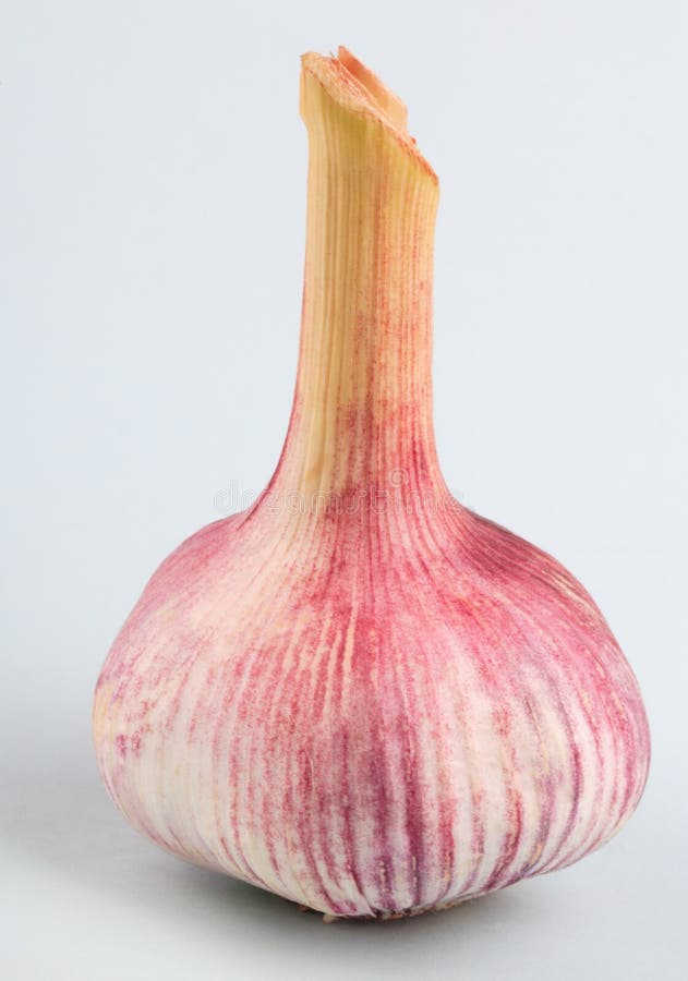 Garlic on green Background stock image. Image of vegetable - 94167637