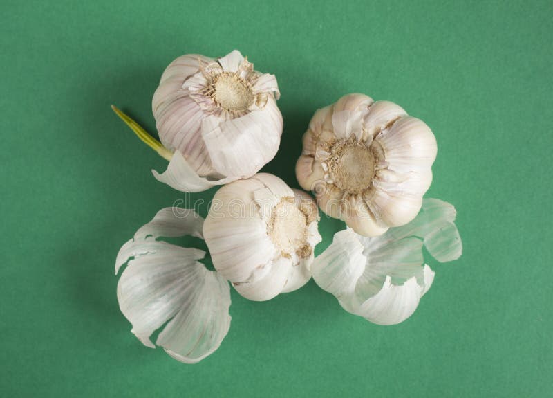 Garlic on green paper stock image. Image of healthy - 106530877