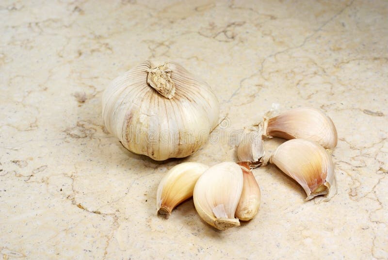 Garlic on the ground stock photo. Image of seasoning - 15045622