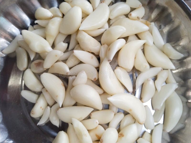 Garlic and hand stock photo. Image of vegetable, hand - 218243728