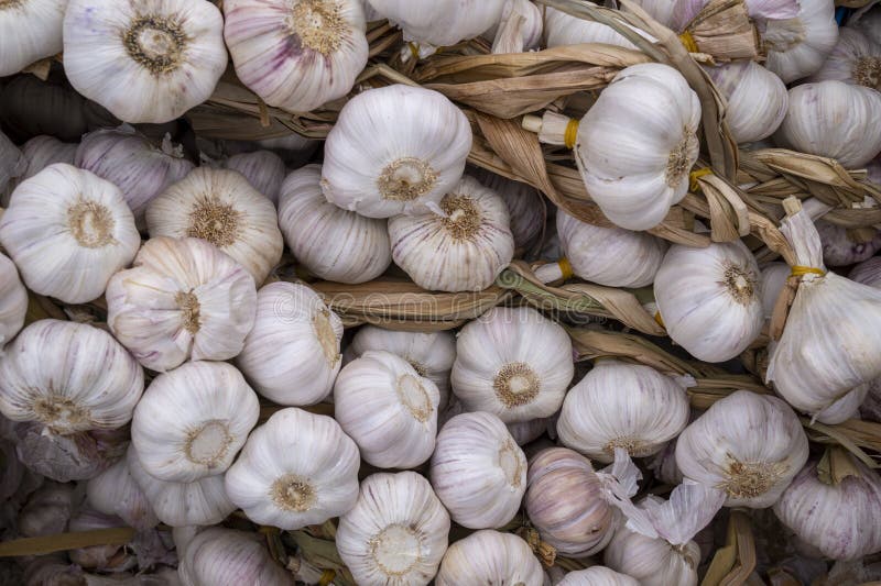 260 Braided Strands Photos - Free & Royalty-Free Stock Photos from ...