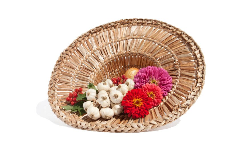 The garlic in the hat stock image. Image of thatch, napper - 20925933