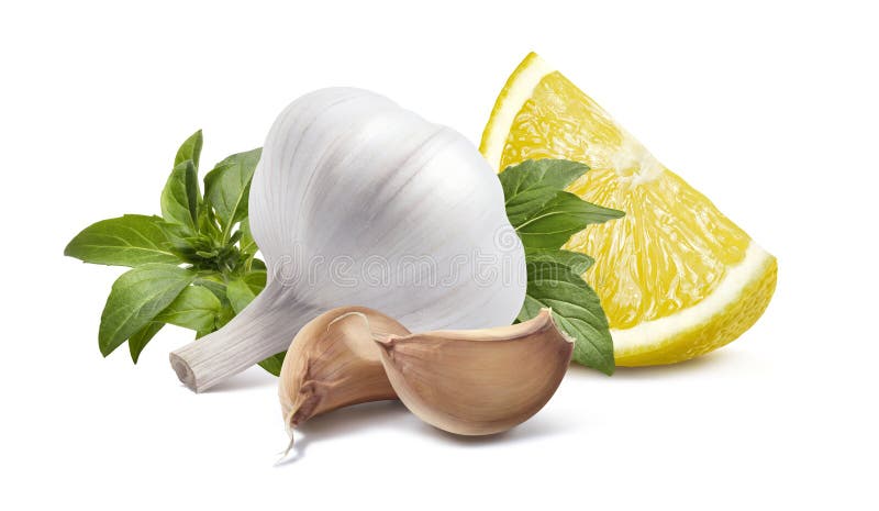 Lemon Basil Cocktail stock image. Image of cocktail, basil - 20030629