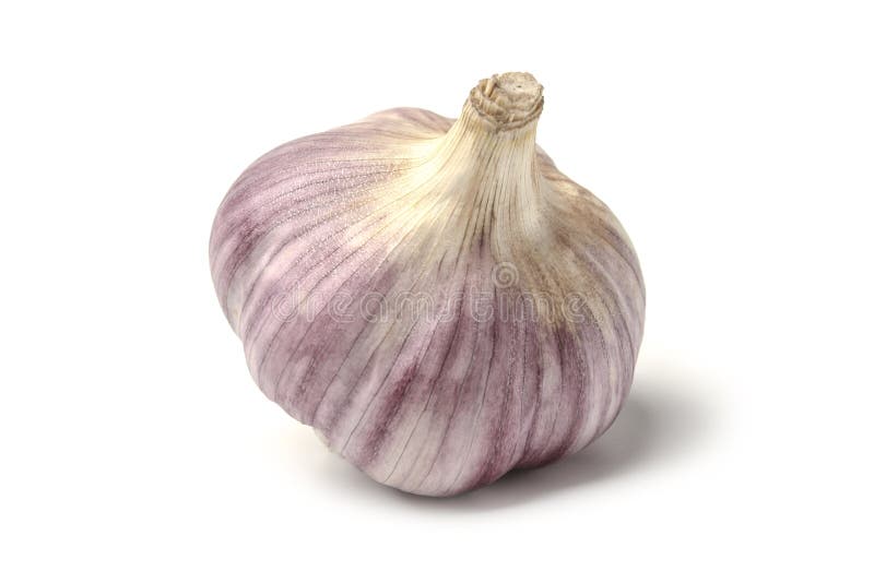Garlic head stock photo. Image of root, healthy, fresh - 154137166