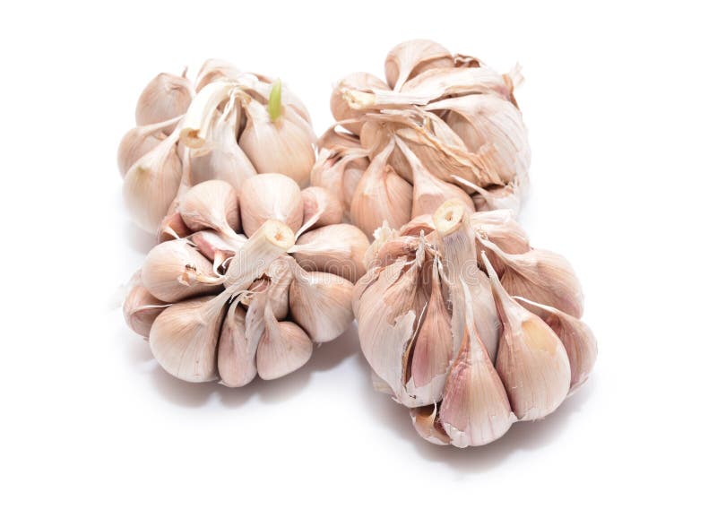 Garlic stock photo. Image of food, isolated, heads, plant - 34973754