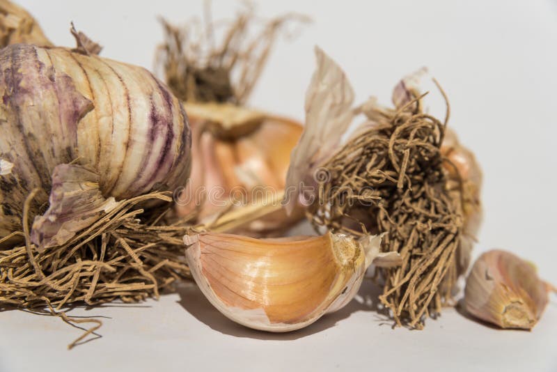 Garlic Heads without Leaves on a Table Stock Image - Image of view ...