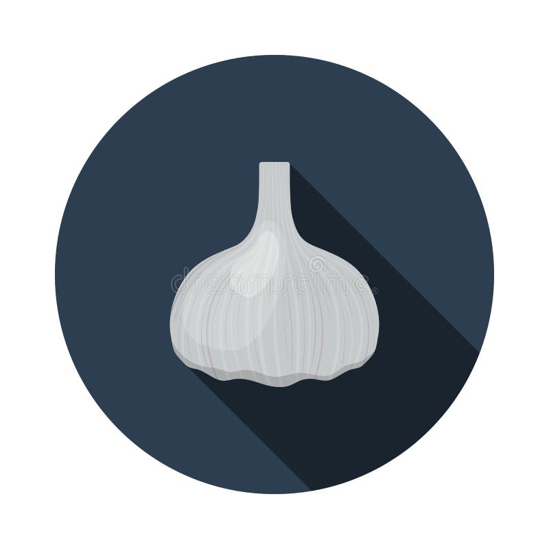 Garlic Icon stock vector. Illustration of diet, garlic - 253731908