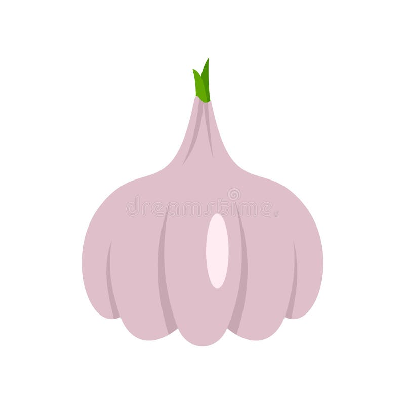 Garlic Icon Stock Illustrations – 16,482 Garlic Icon Stock ...