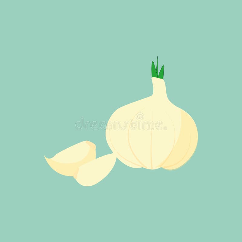 Garlic Icon in Flat Style. Garlic Vector Illustration on Green Isolated ...