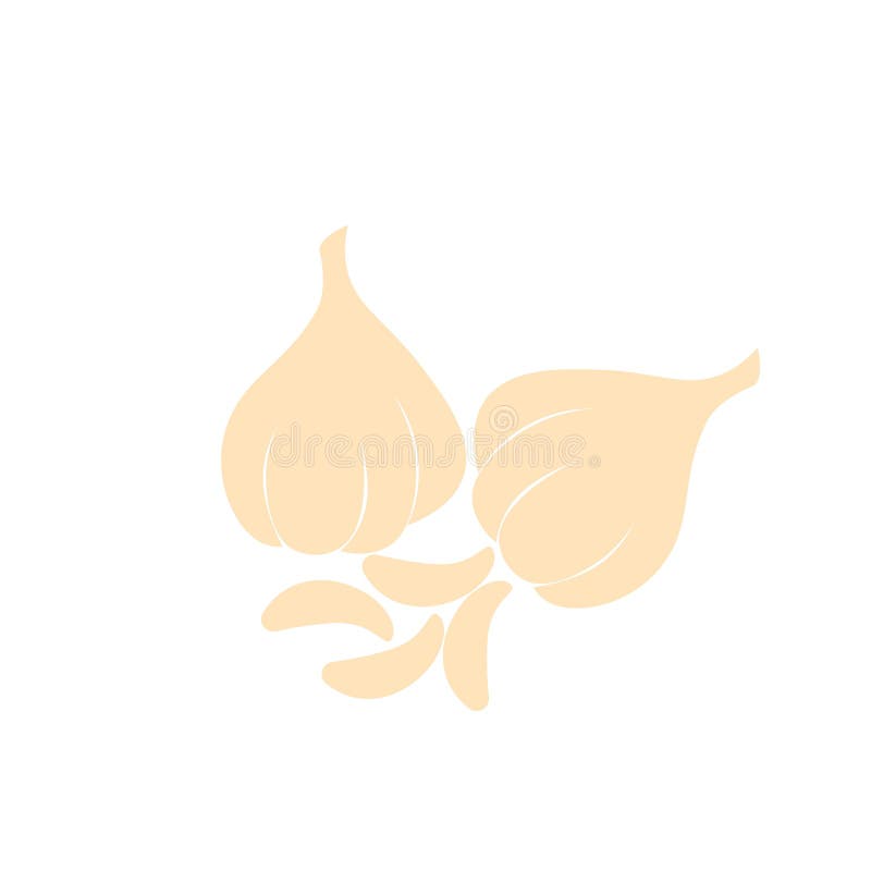 Garlic icon logo vector stock vector. Illustration of medicine - 230966629