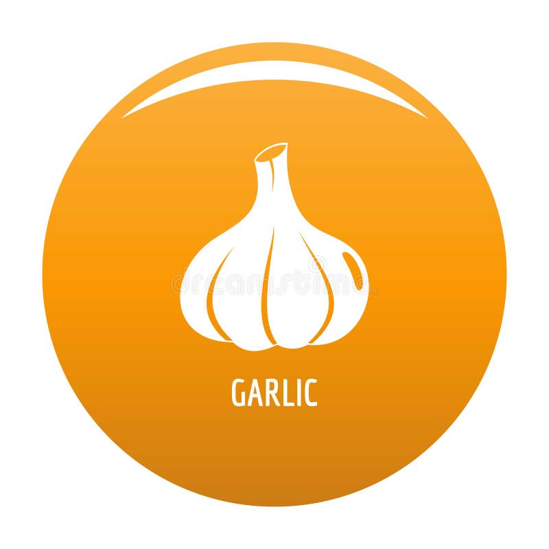 Garlic icon vector orange stock vector. Illustration of healthy - 123434603
