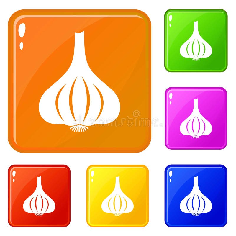 Garlic Icons Set Vector Color Stock Vector - Illustration of fresh ...