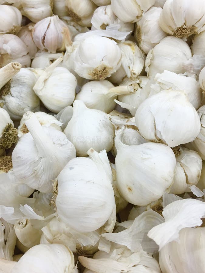 Garlic stock photo. Image of vitamins, garlic, vegetables - 60690278