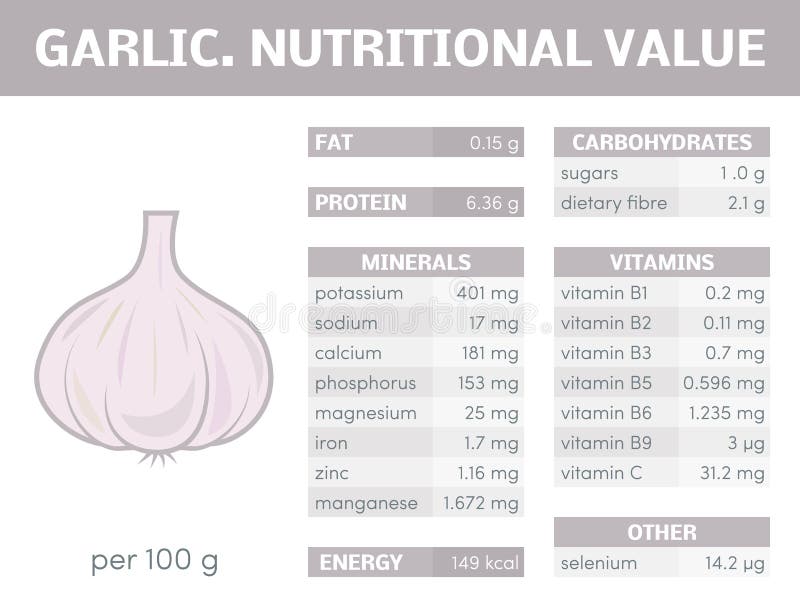 Garlic infographic stock illustration. Illustration of health - 75211210