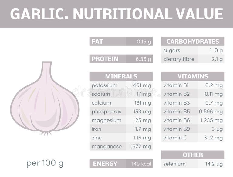 Garlic infographic stock illustration. Illustration of health - 75211210