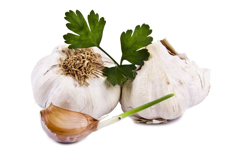 Garlic isolated stock photo. Image of natural, harvesting - 23796446