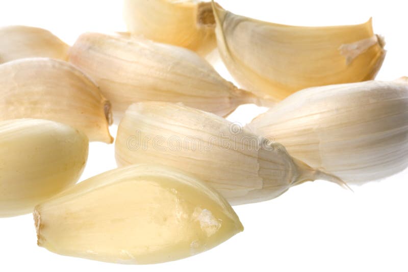 Garlic Isolated stock photo. Image of green, small, fresh - 7096164