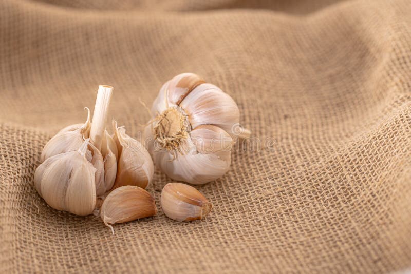 Garlic Isolated on Fabric Background Stock Photo - Image of farmer ...