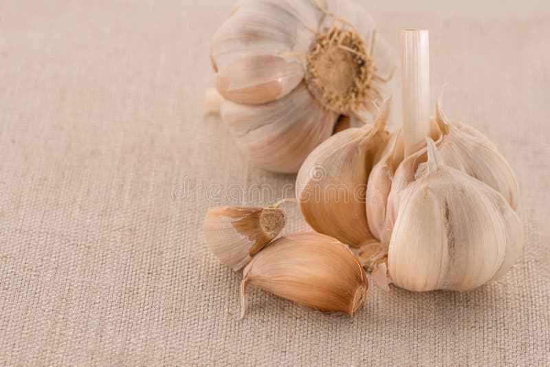 Garlic Isolated on Fabric Background Stock Photo - Image of healthy ...