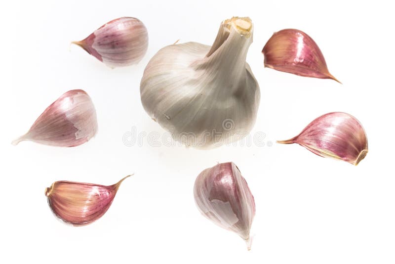 Vampire with Scary Eyes is Licking Garlic Stock Image - Image of evil ...