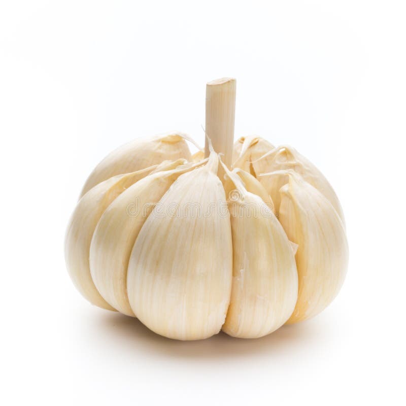 Garlic Isolated on the White Background. Stock Image - Image of food ...