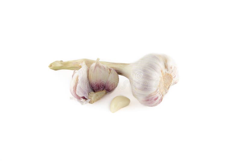 Garlic Isolated on White Background Stock Image - Image of health ...