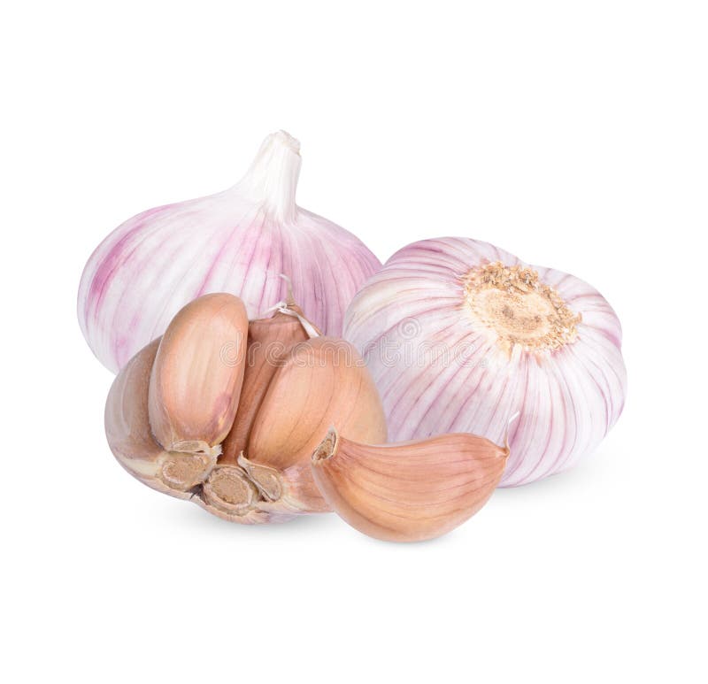 Garlic Isolated on White Background Stock Image - Image of healthy ...