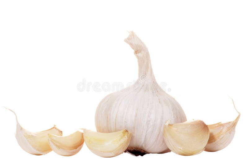 Garlic isolated stock photo. Image of natural, healthy - 31047460