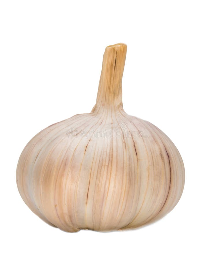 Garlic,garlic Small,garlic Macro, Gralic Natural, Garilc White,garilc ...