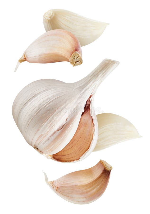 Garlic Isolated on White Background Stock Photo - Image of fresh ...